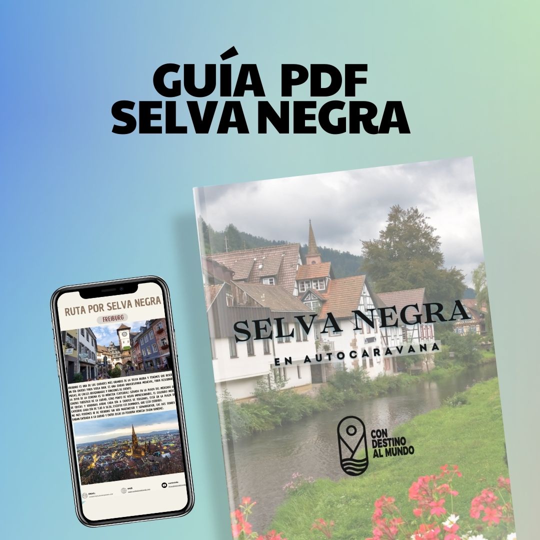 SELVA NEGRA GUÍA PDF - Con Destino al Mundo